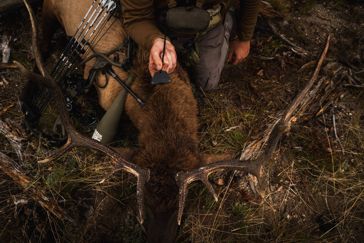 Love Triangle - Elk Cow Call - Born and Raised Outdoors